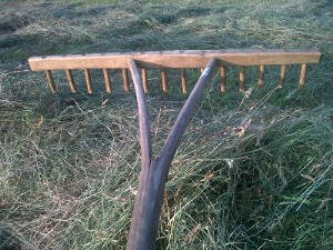 The Tools of the Hand Hay Making Trade - Scythe Cymru