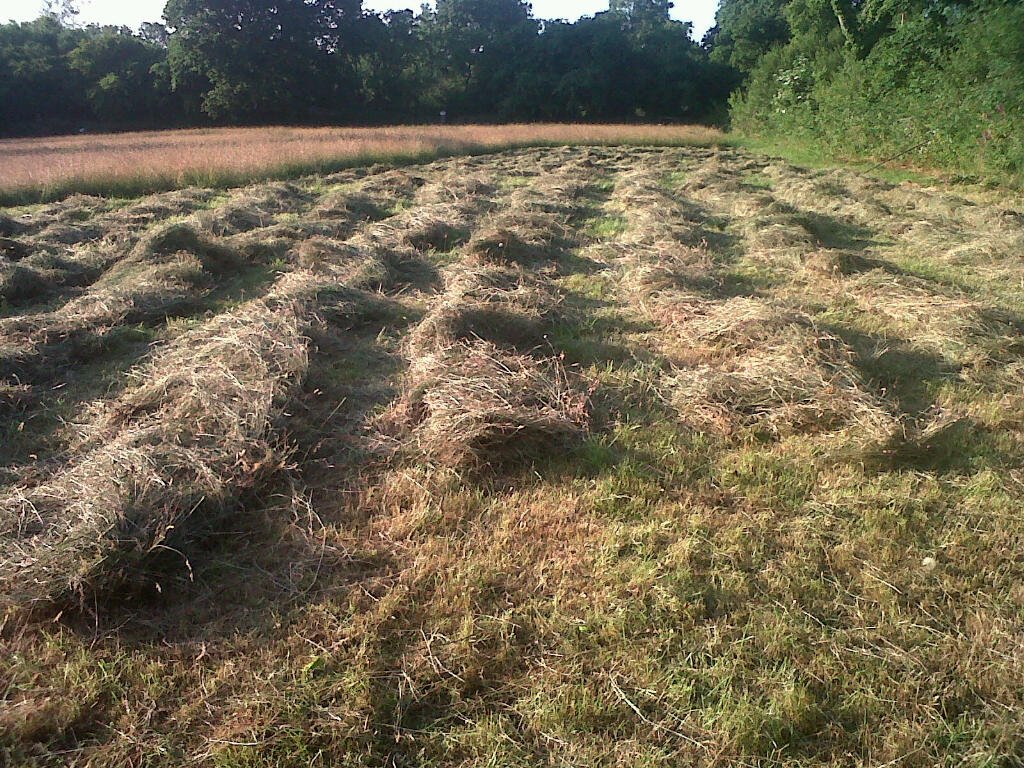 Working with Rows - Scythe Cymru