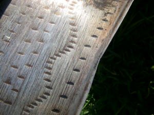 Dealing with damage to the blade edge - Scythe Cymru