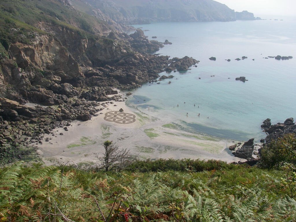 Harvesting and Using Bracken - Scythe Cymru