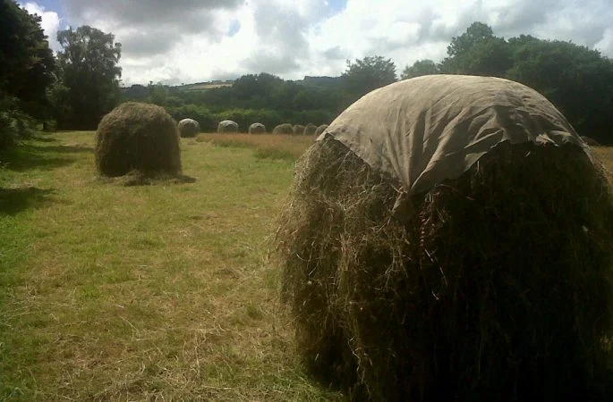 Hand Hay Making at Dyfed Permaculture Farm Trust - Rediscovering the ...