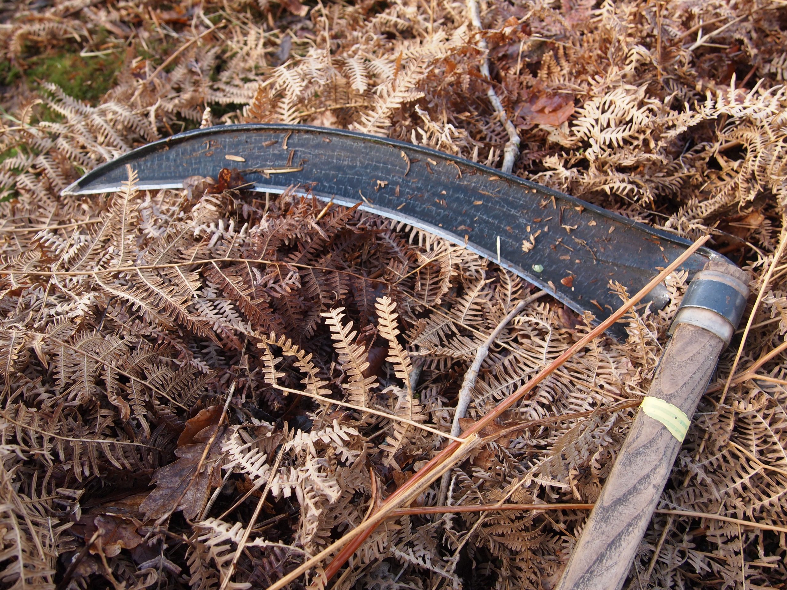 A Late Bracken Harvest - Scythe Cymru